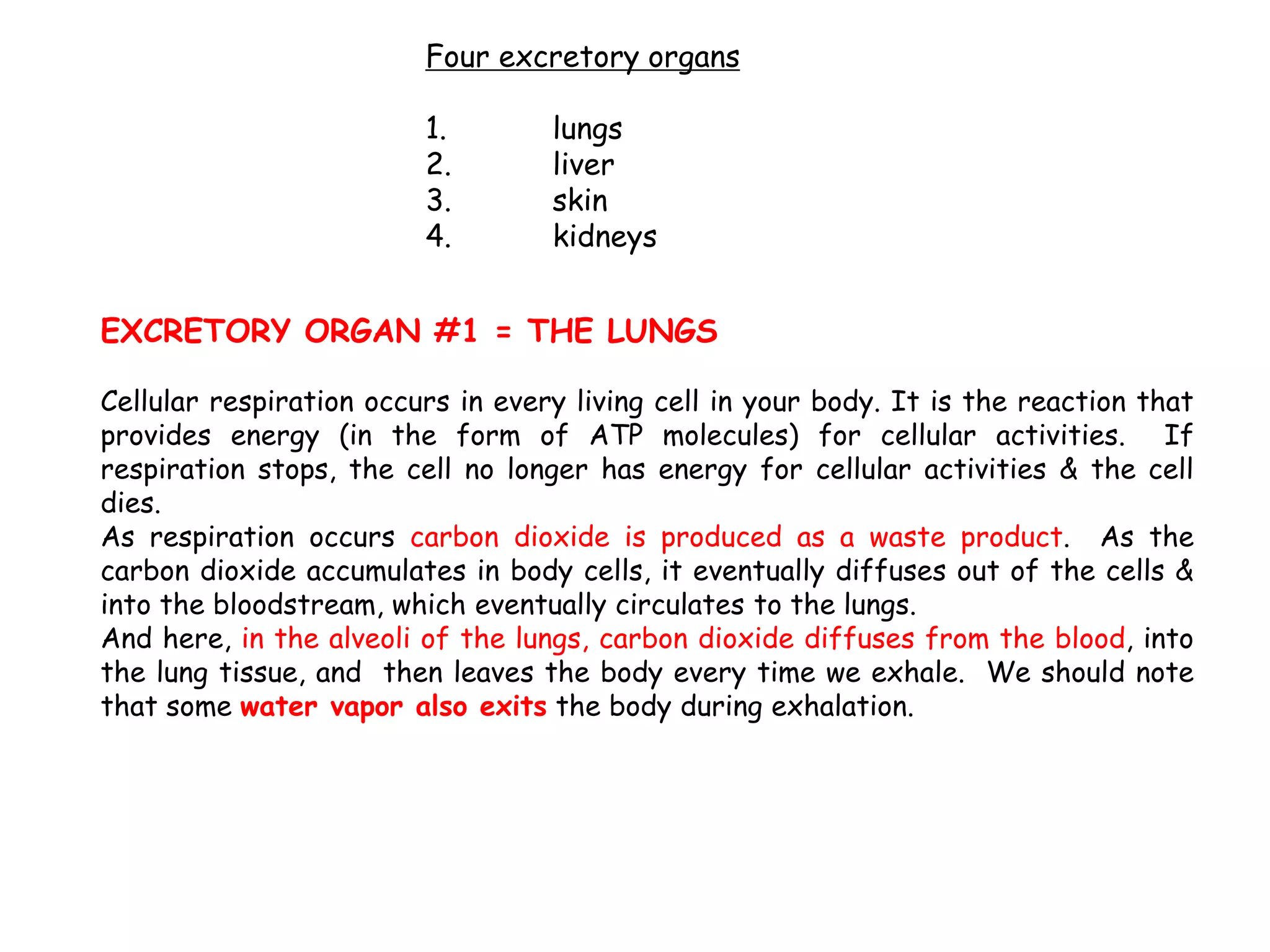 6. excretory system | PPT