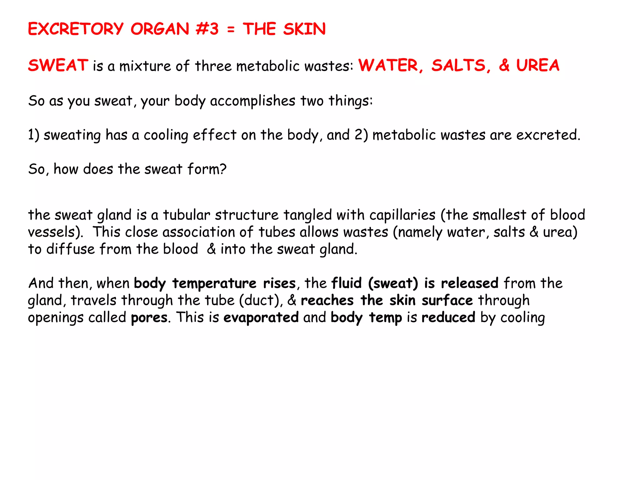 6. excretory system | PPT