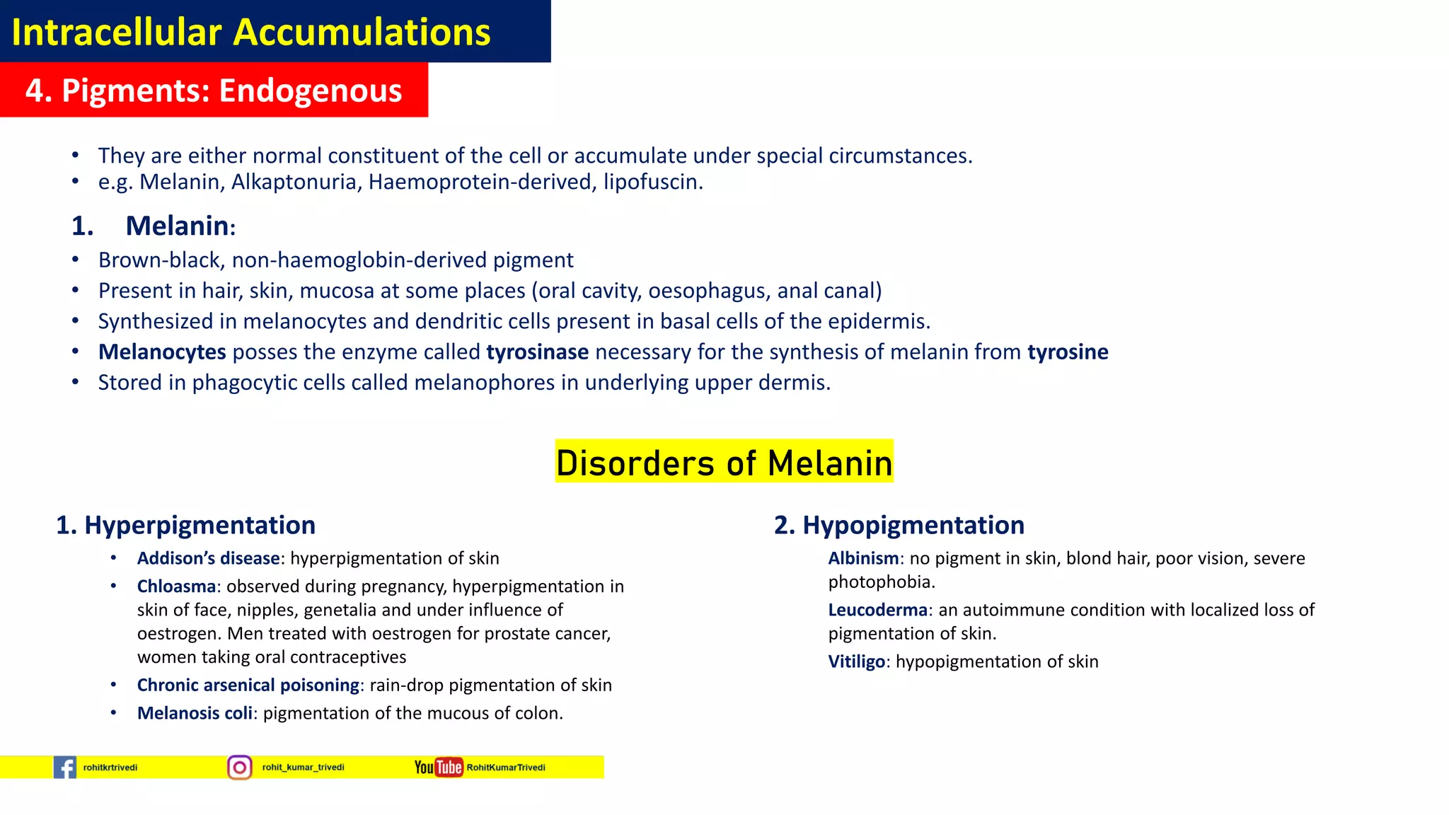 intracellular accumulation (lipids, proteins, carbohydrates, pigments ...