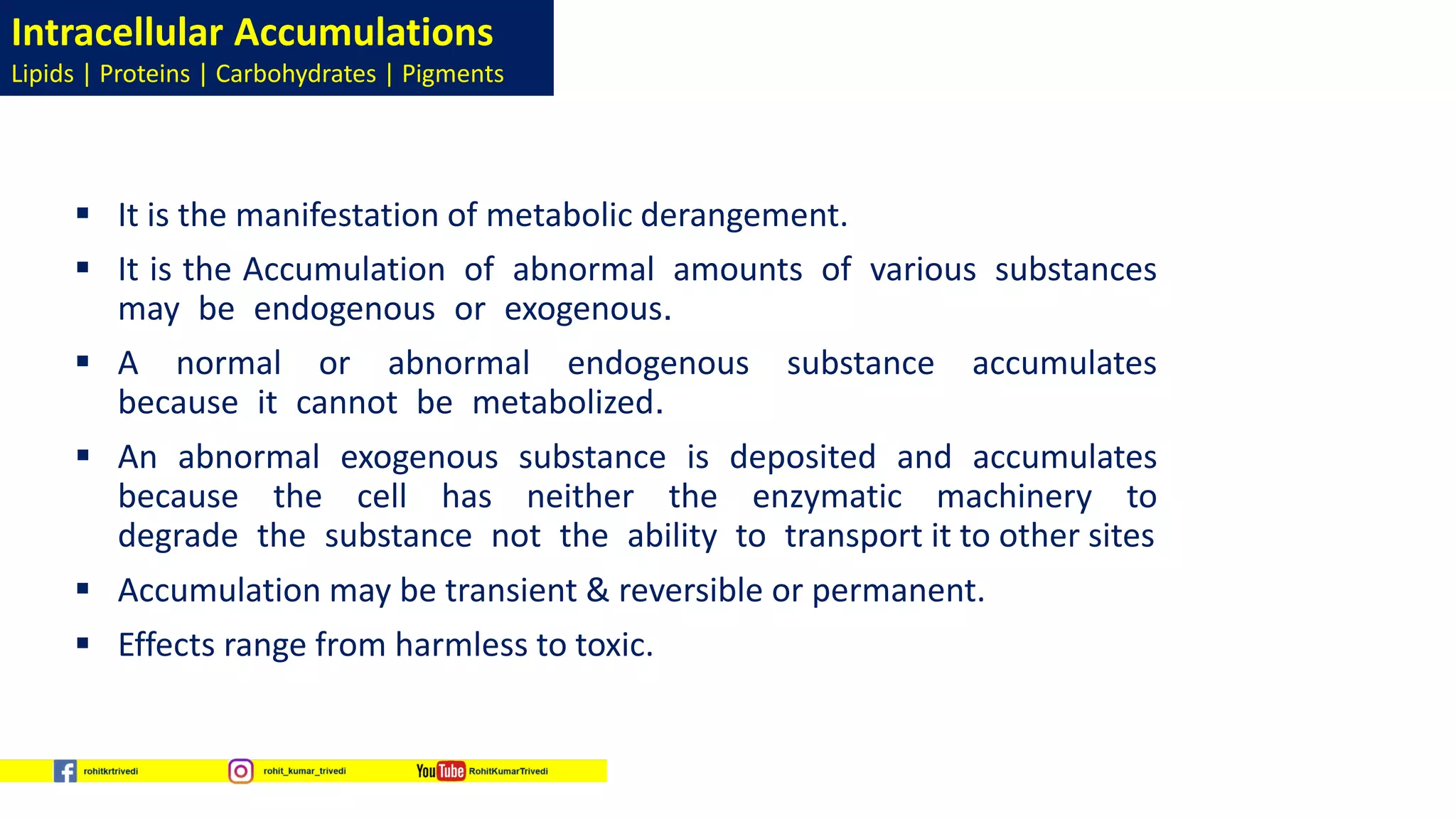 intracellular accumulation (lipids, proteins, carbohydrates, pigments ...