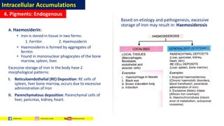 intracellular accumulation (lipids, proteins, carbohydrates, pigments ...