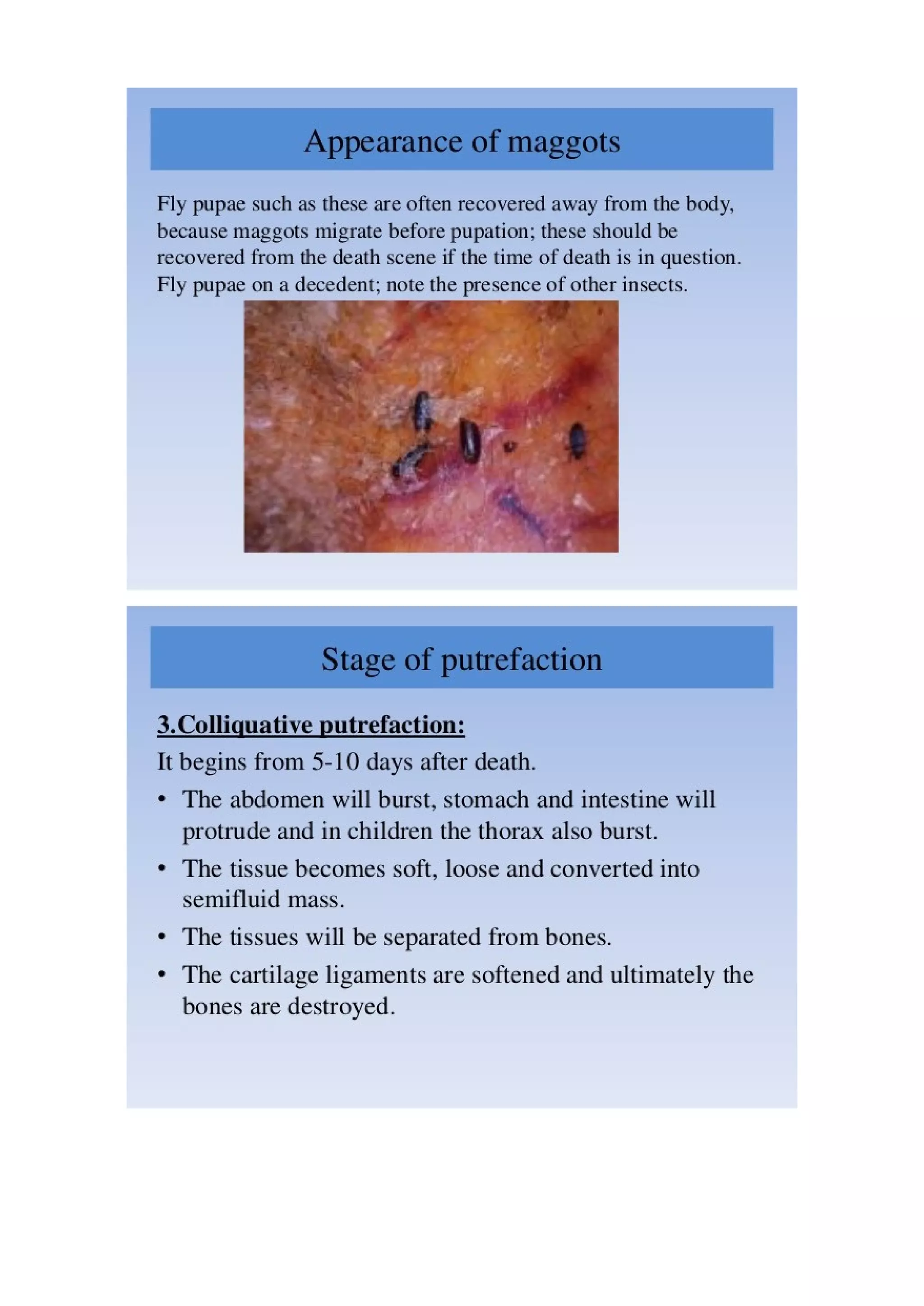 6. paper unit 2 signs of death | PDF