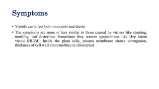Satellite viruses, satellite rna and viroid's | PDF