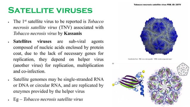 Satellite viruses, satellite rna and viroid's