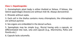 6. Classification and economic importance of bryophytes | PPTX