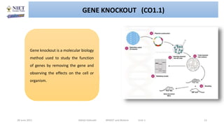 Genetic engineering | PPTX