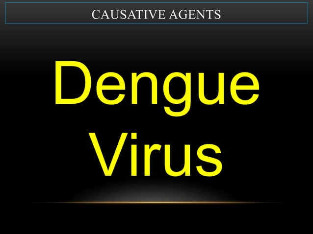 National Dengue Control And Prevention Program Pptx Infectious Diseases Diseases And
