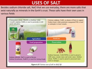 Chlorine Uses In Everyday Life