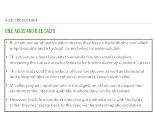 6. the gallbladder | PDF