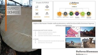 La tempesta Vaia: l’esperienza di Duferco Biomasse | PDF | Business and ...