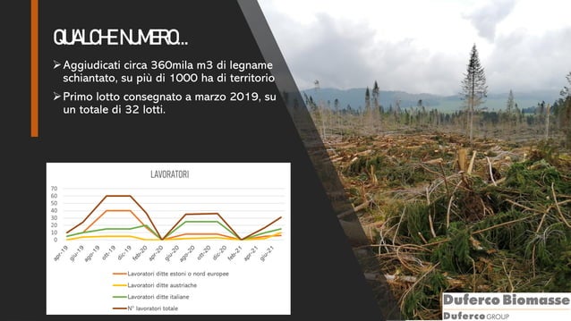 La tempesta Vaia: l’esperienza di Duferco Biomasse | PDF | Business and ...