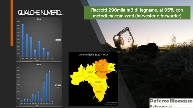 La tempesta Vaia: l’esperienza di Duferco Biomasse | PDF | Business and ...