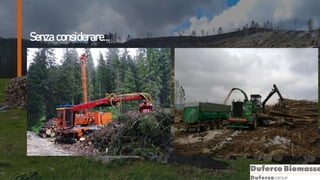 La tempesta Vaia: l’esperienza di Duferco Biomasse | PDF | Business and ...