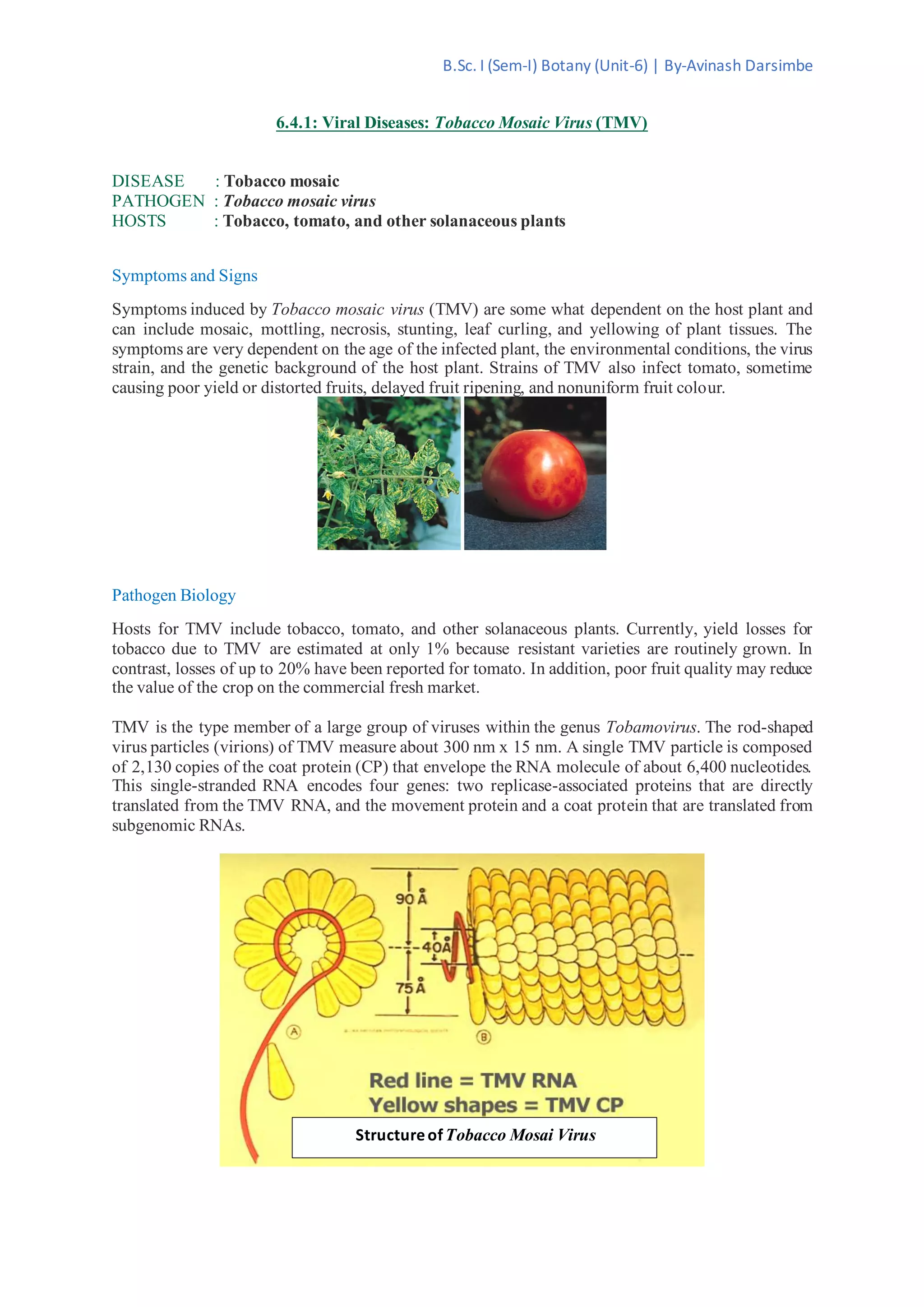 6.4.1 viral diseases tobacco mosaic virus (tmv) | PDF