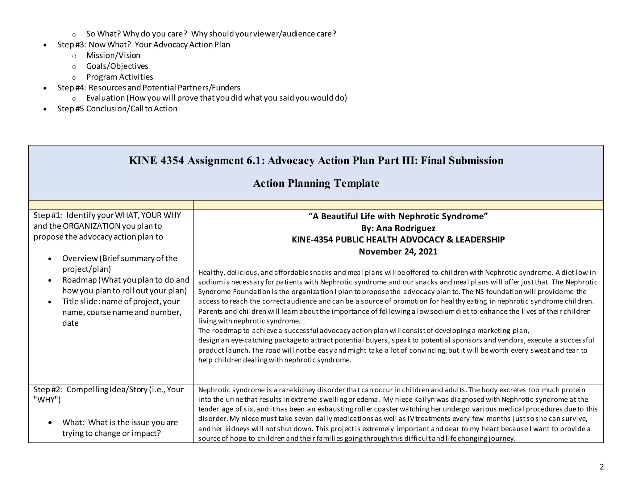 6.1 final advocacy action plan | DOCX