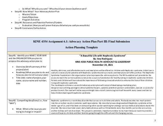 61 Final Advocacy Action Plan