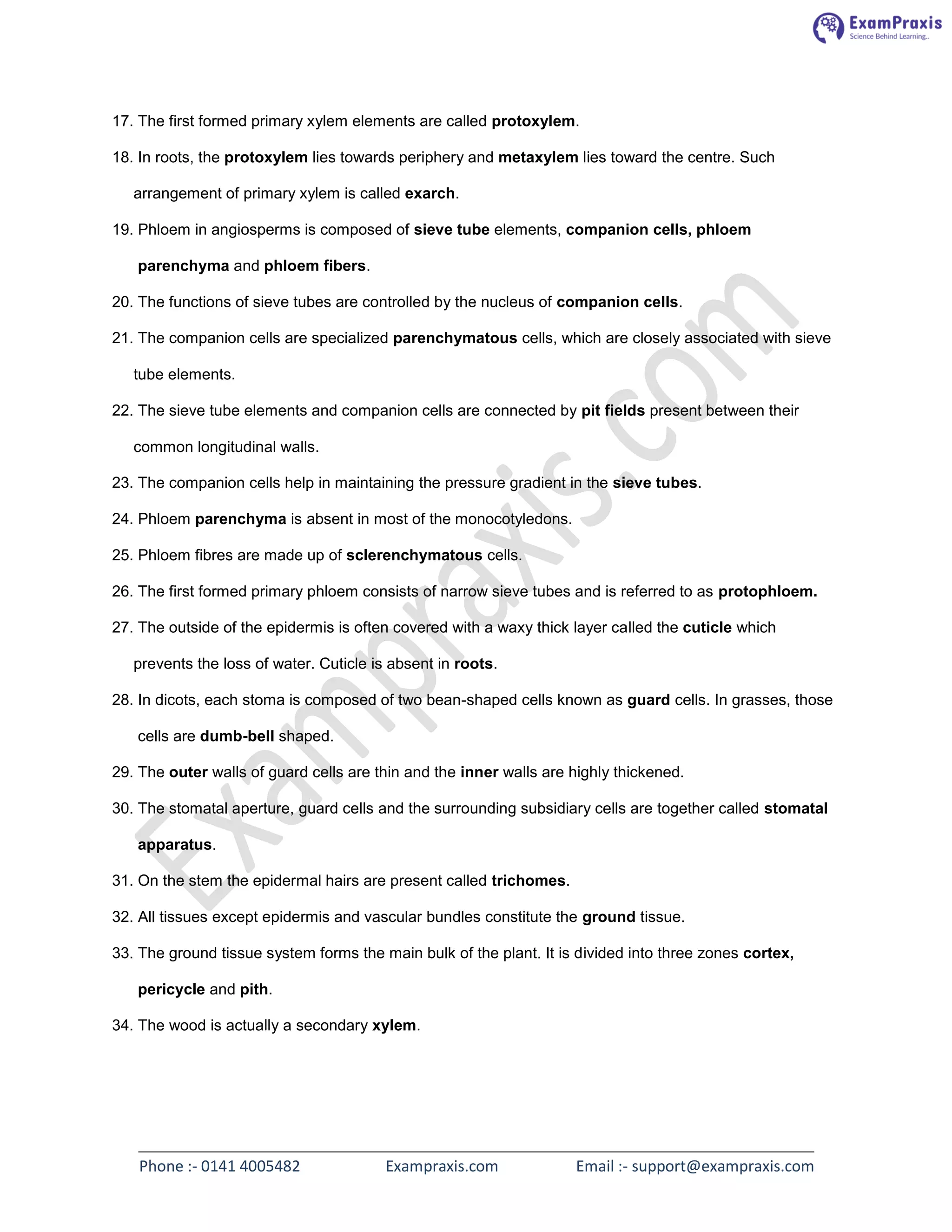 Anatomy of Flowering Plants, Important Notes - ExamPraxis | PDF