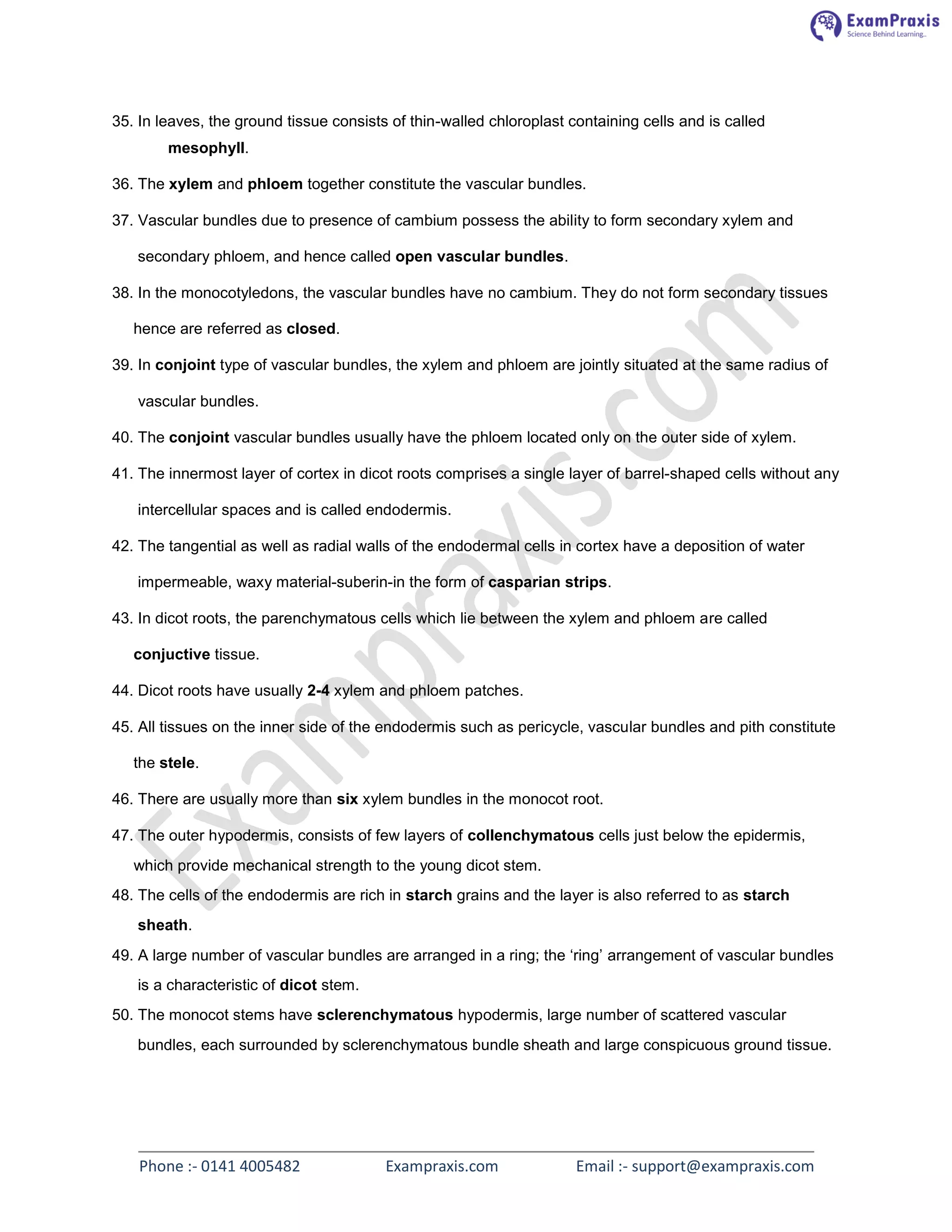 Anatomy of Flowering Plants, Important Notes - ExamPraxis | PDF