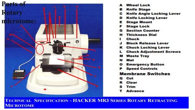 1. Microtome | PPT