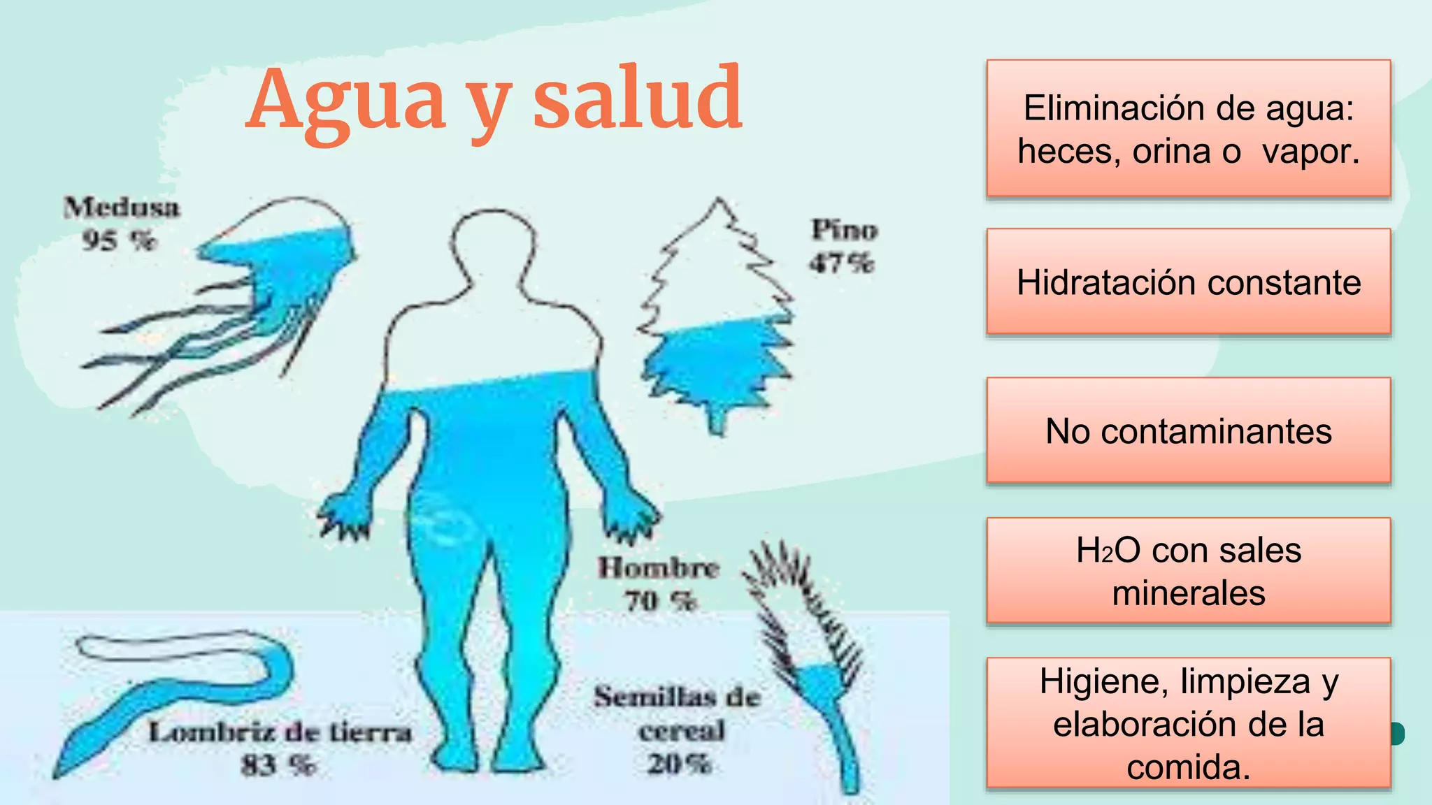 6. Capas de la Biosfera.pptx