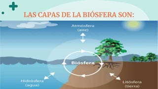6. Capas de la Biosfera.pptx