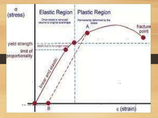 6.Elasticity (BIOMEDICAL PHYSICS)pptx | PPTX | Physics | Science
