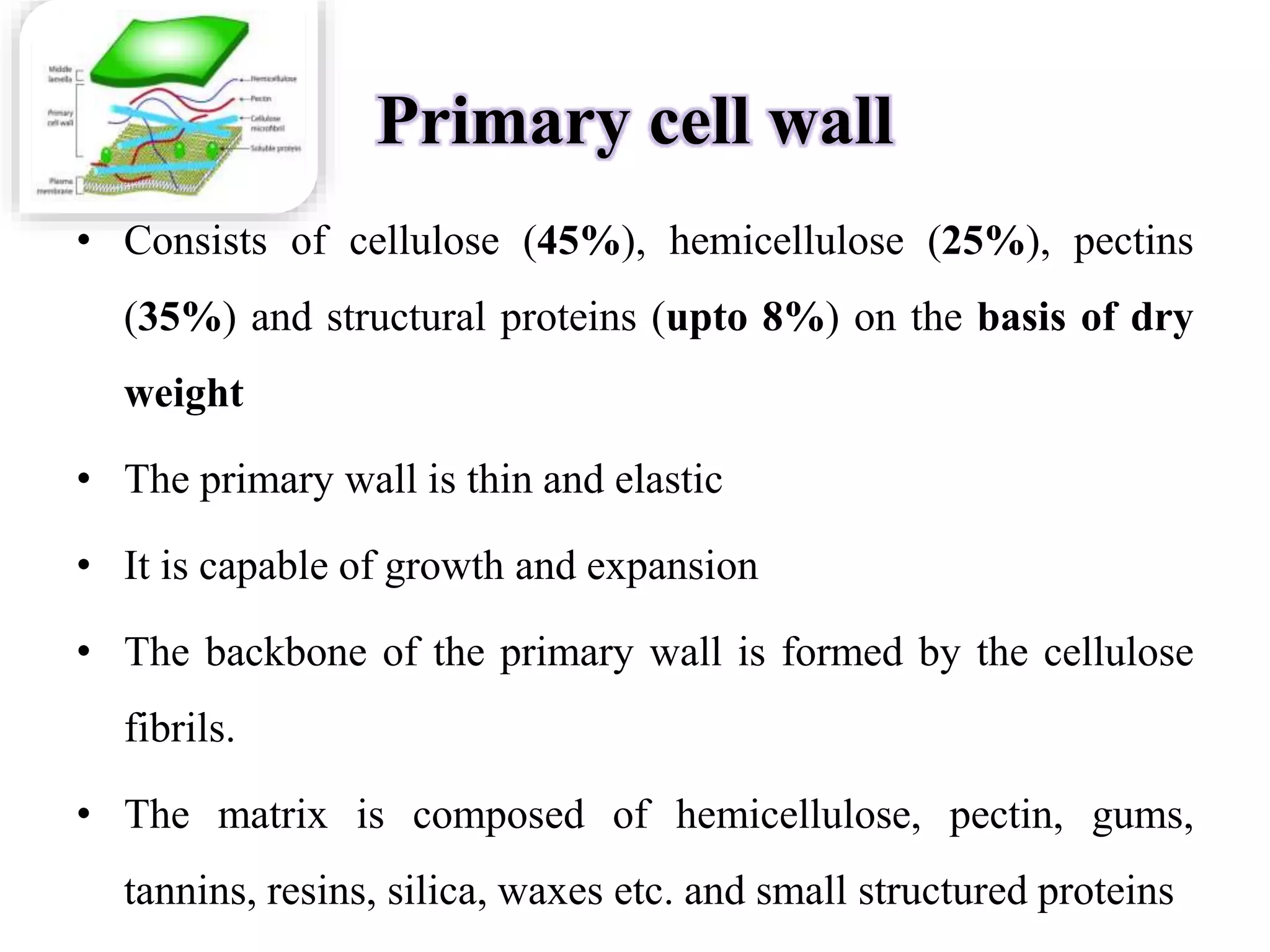 CELLWALL.pptx