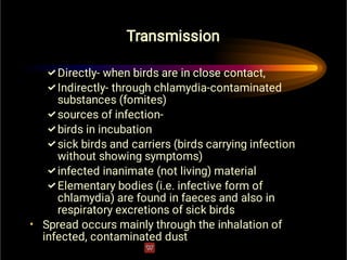 6.CHLAMYDIOSIS.pdf