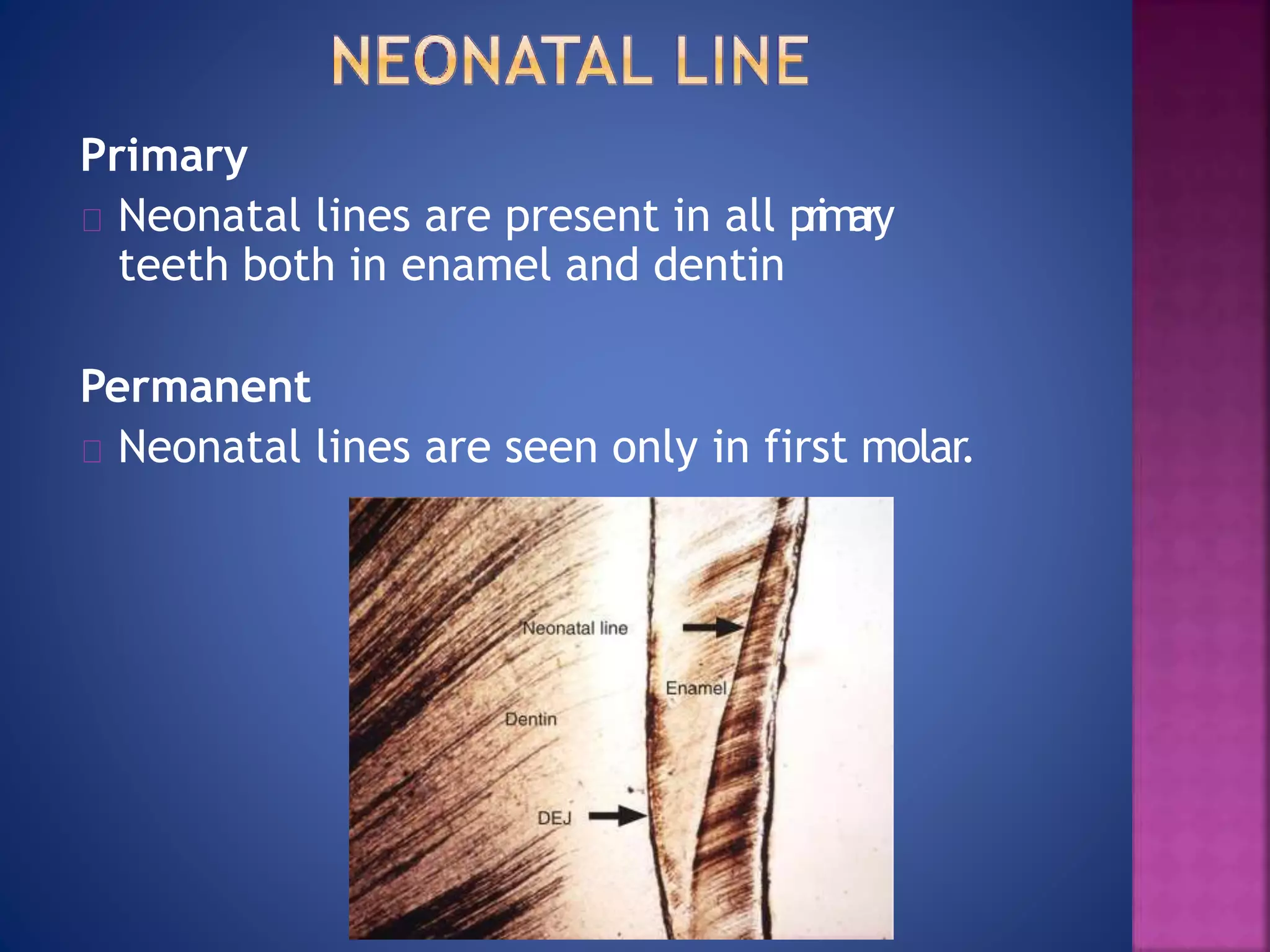 6. Diff bw primary and permanent dentition.pptx