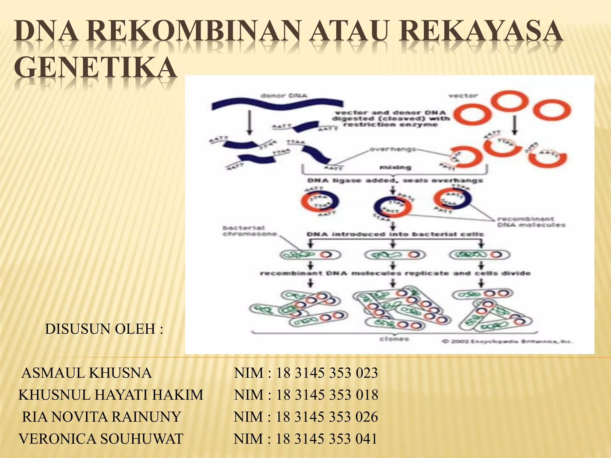 6. DNA REKOMBINAN ATAU REKAYASA GENETIKA-dikonversi.pdf