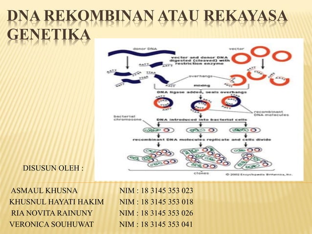 6. DNA REKOMBINAN ATAU REKAYASA GENETIKA-dikonversi.pdf