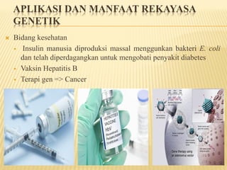 6. DNA REKOMBINAN ATAU REKAYASA GENETIKA-dikonversi.pdf