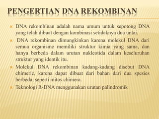 6. DNA REKOMBINAN ATAU REKAYASA GENETIKA-dikonversi.pdf