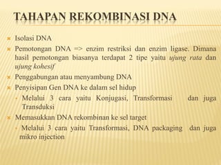 6. DNA REKOMBINAN ATAU REKAYASA GENETIKA-dikonversi.pdf