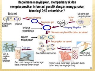 6. DNA REKOMBINAN ATAU REKAYASA GENETIKA-dikonversi.pdf