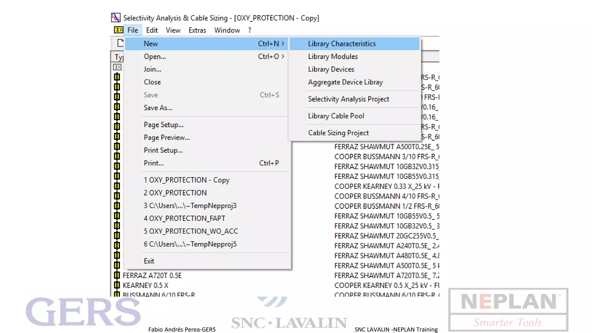 6. NEPLAN OCP Libraries.pdf