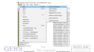 6. NEPLAN OCP Libraries.pdf | Operating Systems | Computer Software and Applications