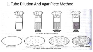 6. Disinfectants.pdf