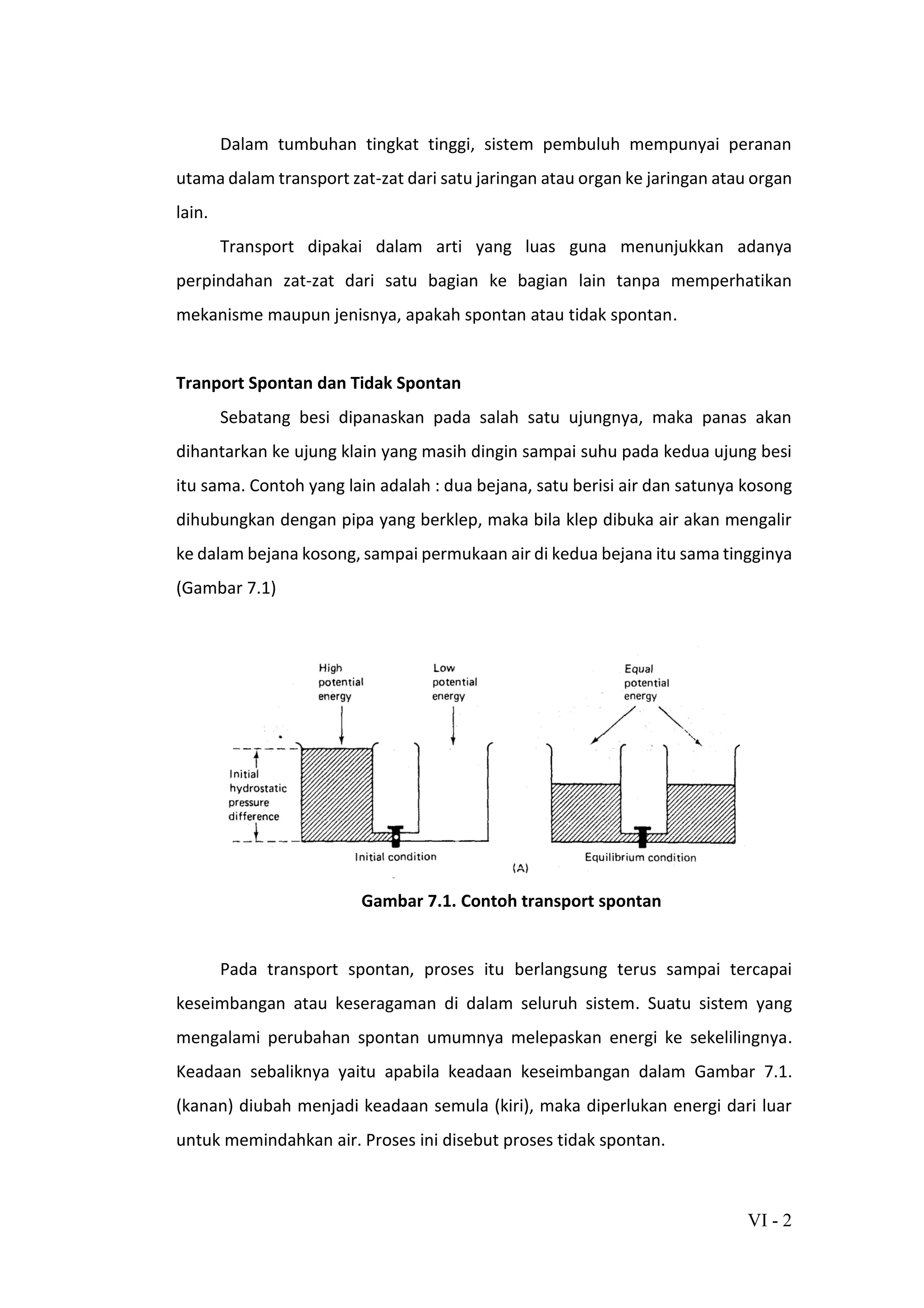 Absorpsi dan Translokasi.pdf