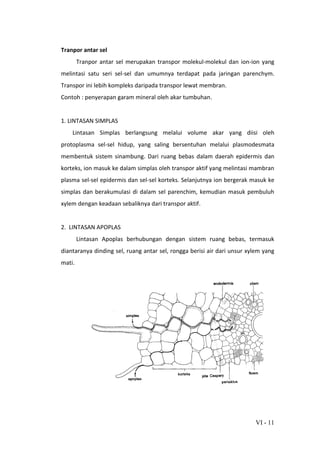 Absorpsi dan Translokasi.pdf