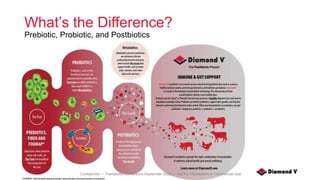 6. Closed Conversation - Postbiotic_Differentiation Feedworks_2022.pptx