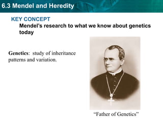 6.3 Mendel heredity PPT.ppt