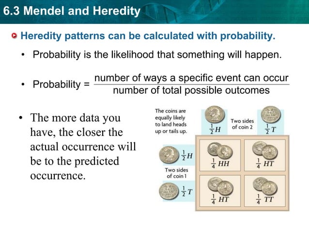 6.3 Mendel heredity PPT.ppt