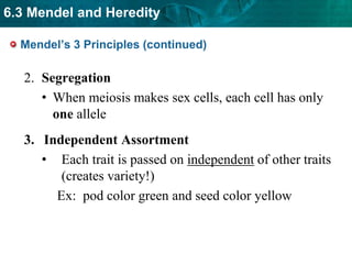 6.3 Mendel heredity PPT.ppt