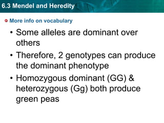 6.3 Mendel heredity PPT.ppt