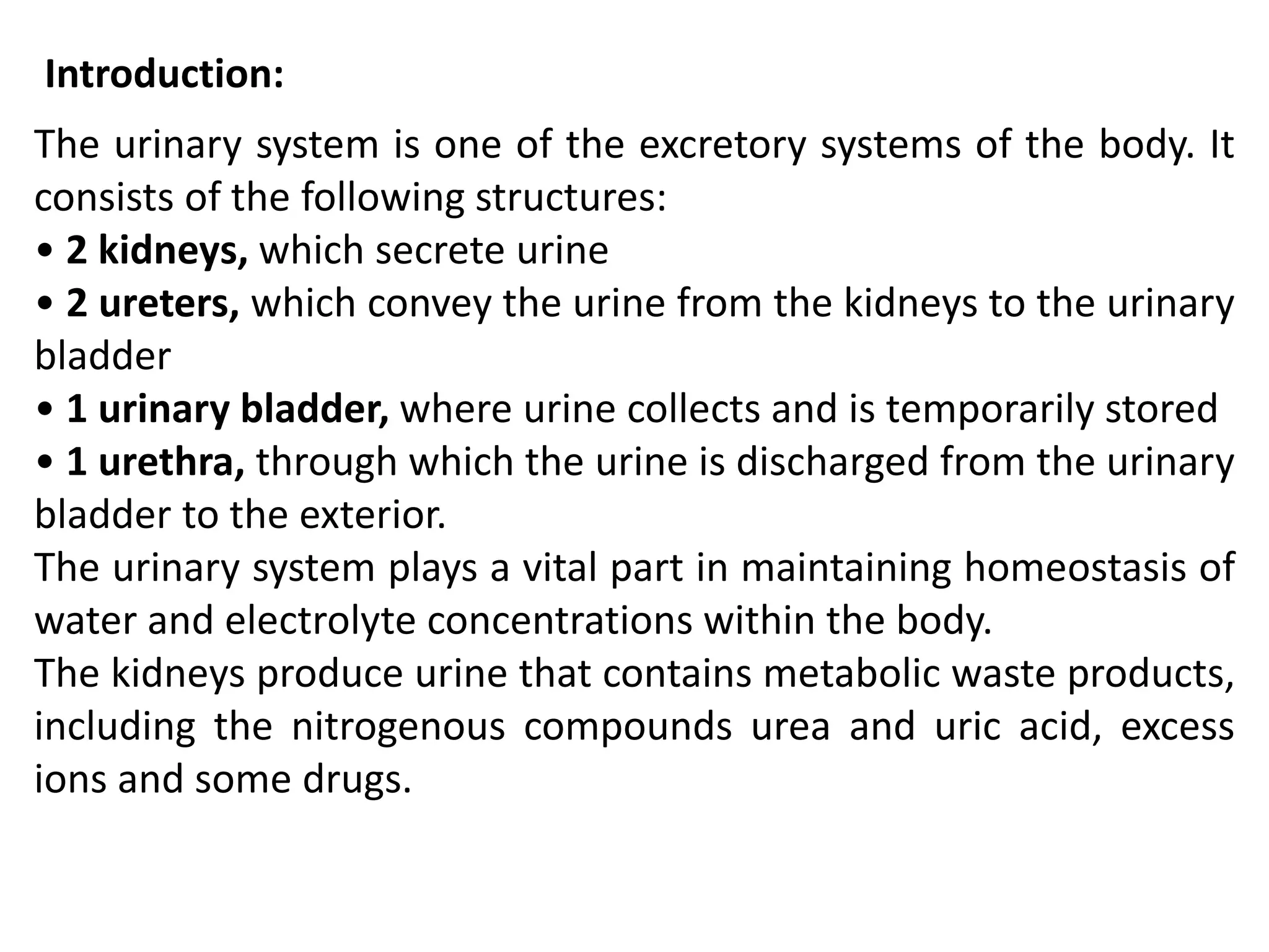 6. Urinary system.pptx