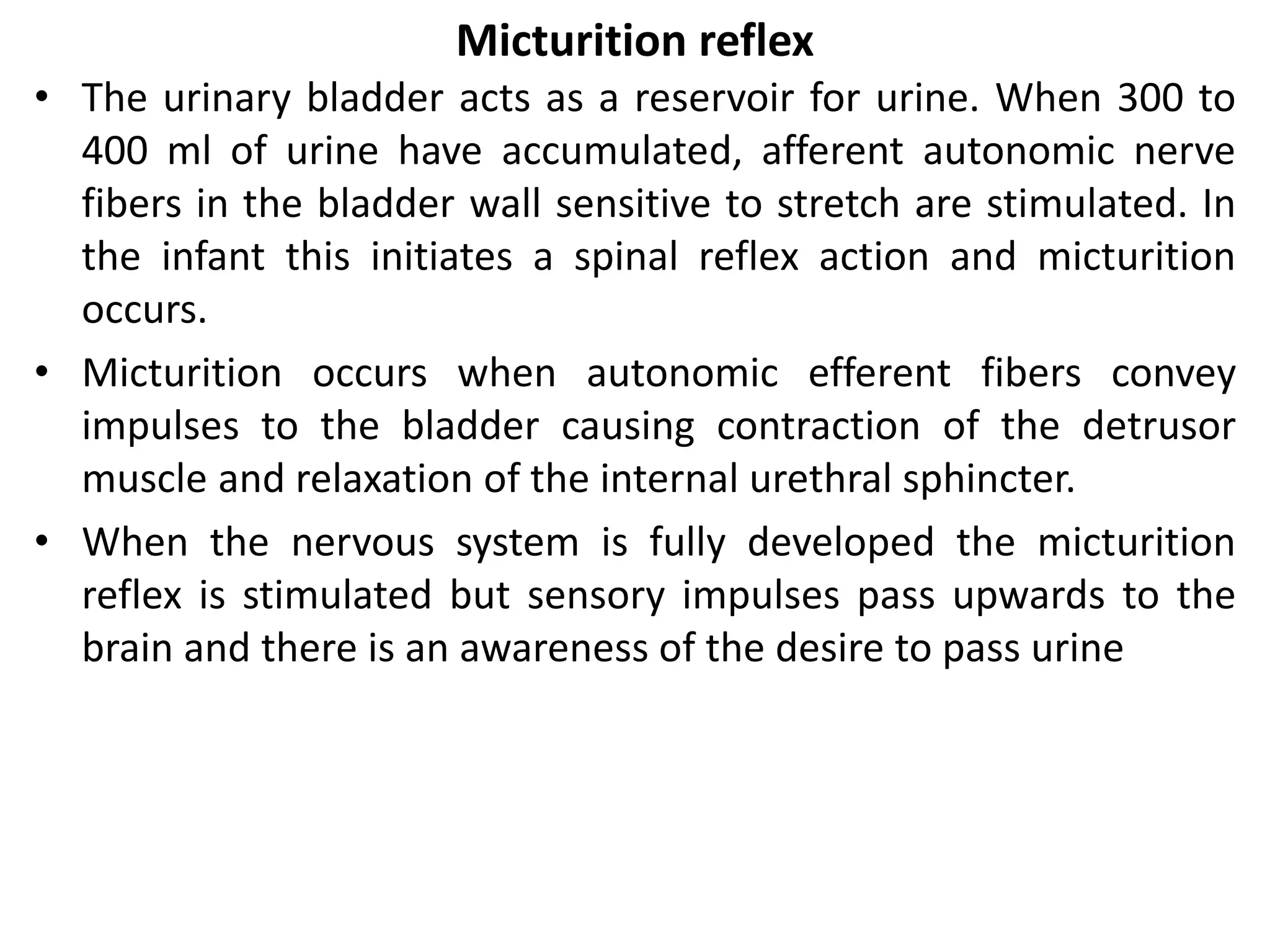 6. Urinary system.pptx