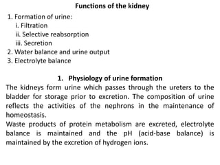 6. Urinary system.pptx