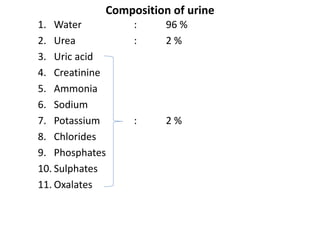 6. Urinary system.pptx