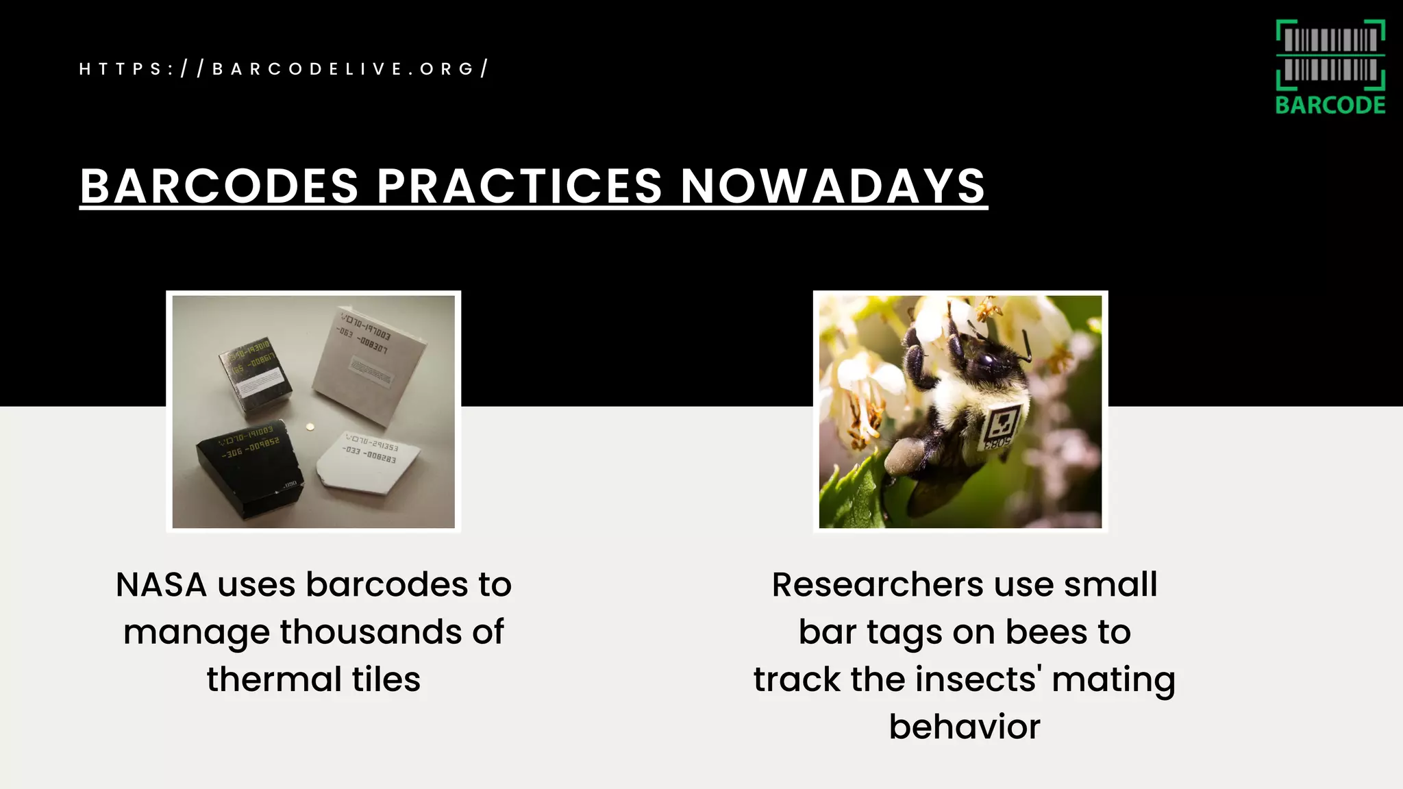 History of the Barcode - Who invented the barcode? | PDF